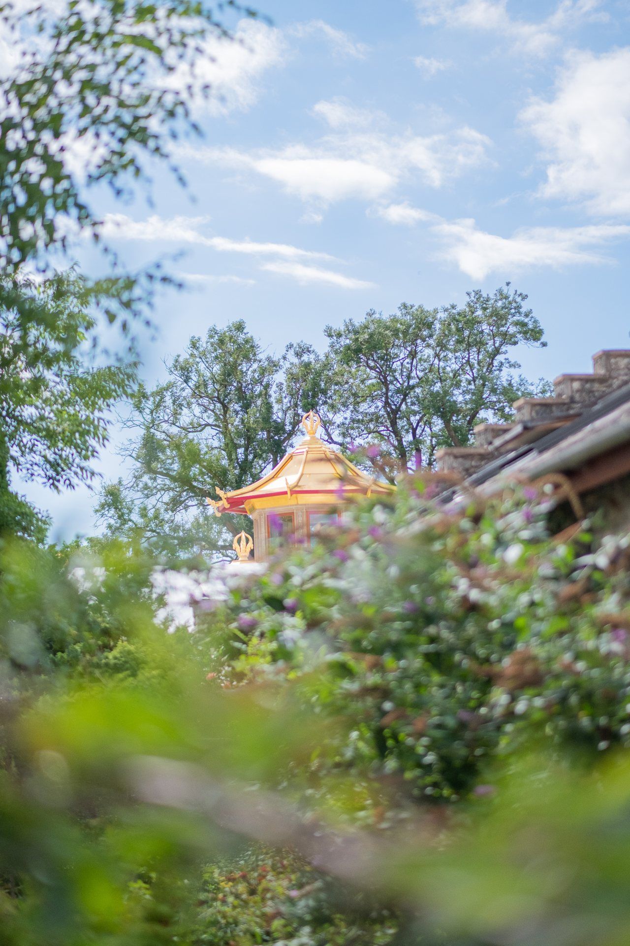 Day 4 ~ 25 years at the mother temple! - Kadampa Buddhism