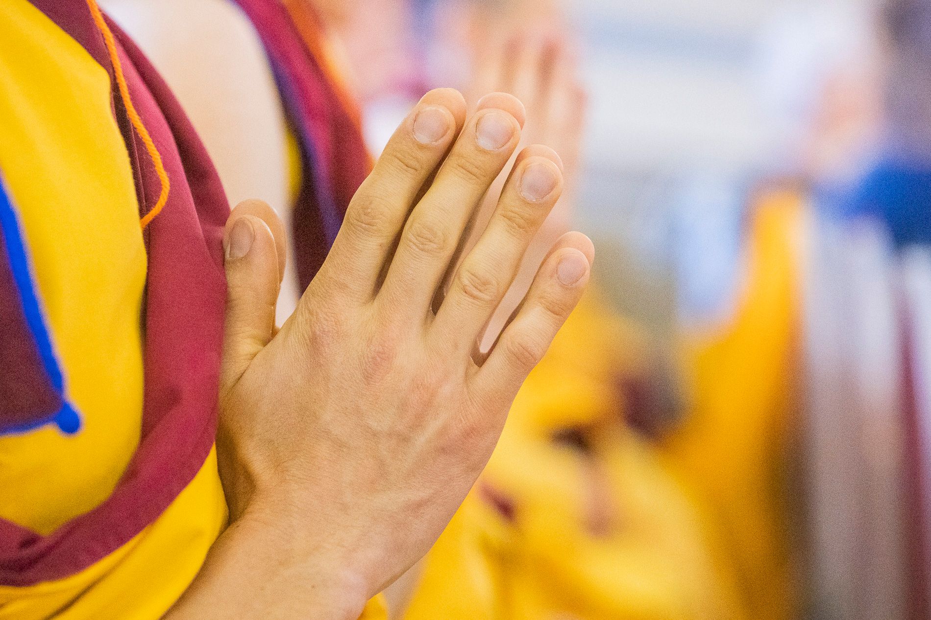 Protecting our spiritual life - German Dharma Celebration - Kadampa ...
