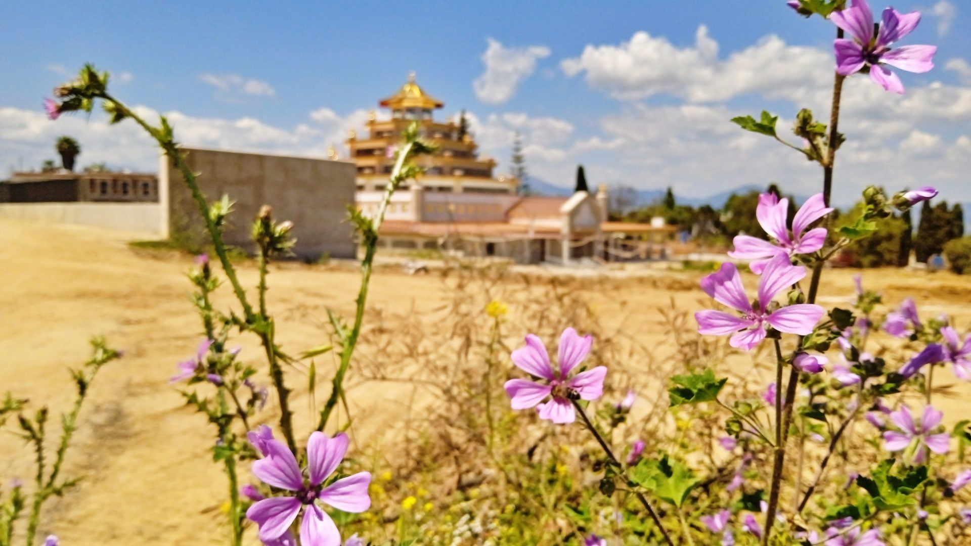 Countdown to the Festival 2 ~ Adorning the outer walls of the Temple ...