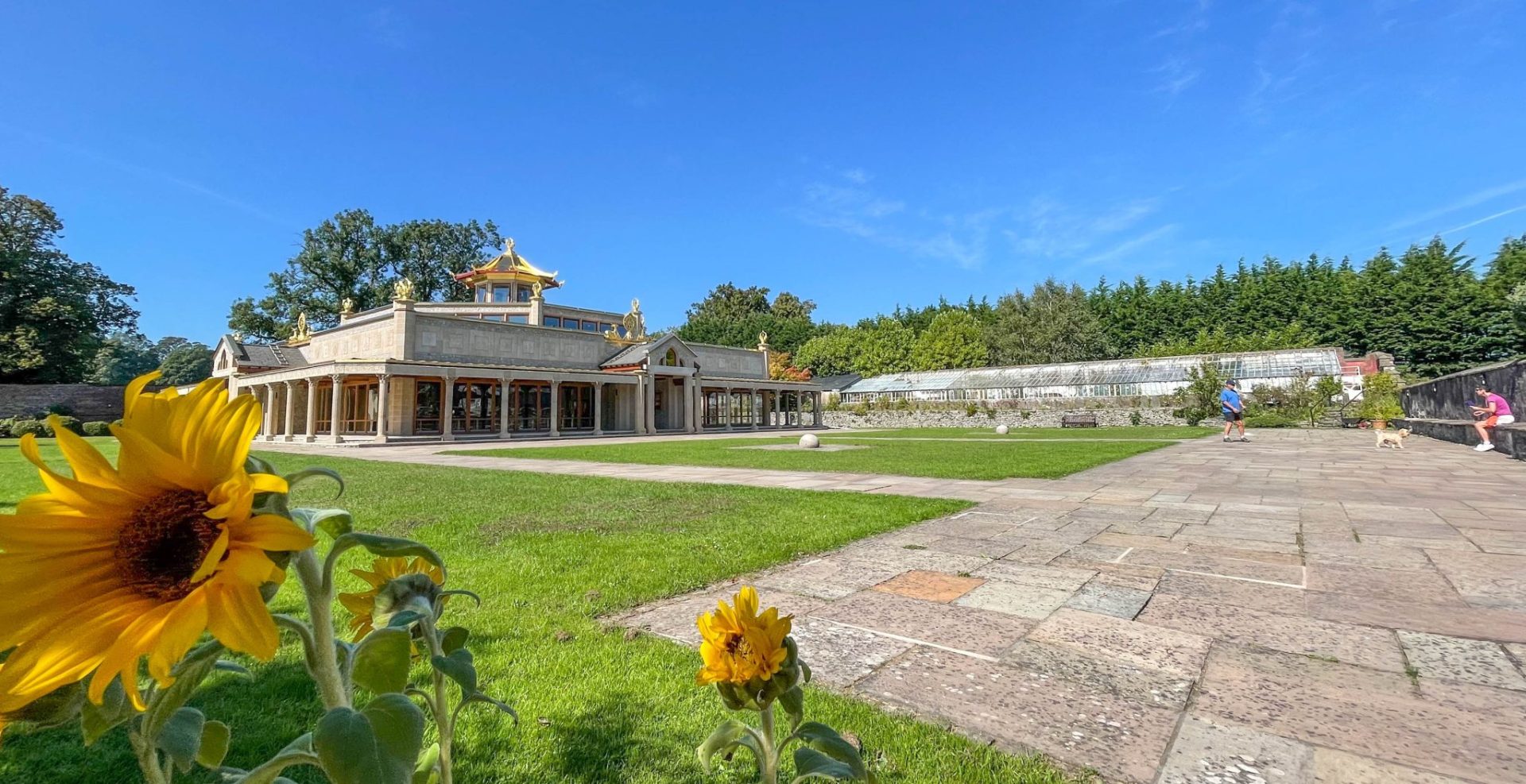 A Week in the Life of the Temples for World Peace - Kadampa Buddhism